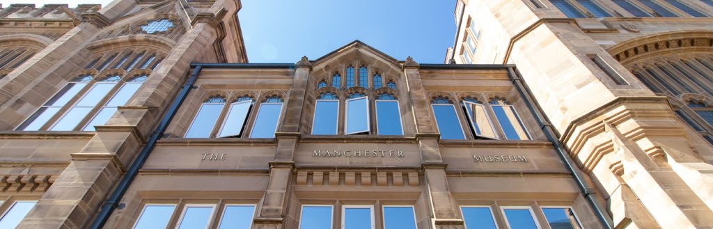Top ten items from Manchester Museum’s collections – Manchester Giving